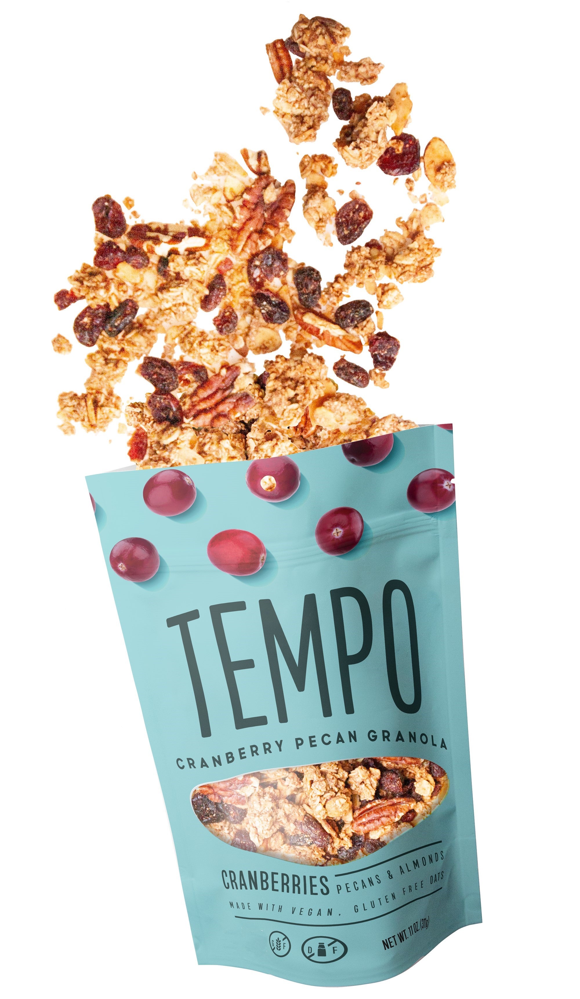 Cranberry Pecan All Day Granola (11oz. bags) 3 pack – Tempo Granola